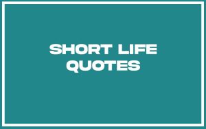 151 Best Short Life Quotes (with Commentary) - Burning For Success