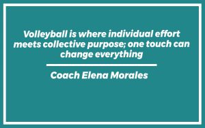 151 Best Volleyball Quotes (with Commentary) - Burning For Success