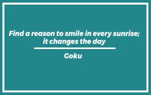 151 Best Goku Quotes (with Commentary) - Burning For Success