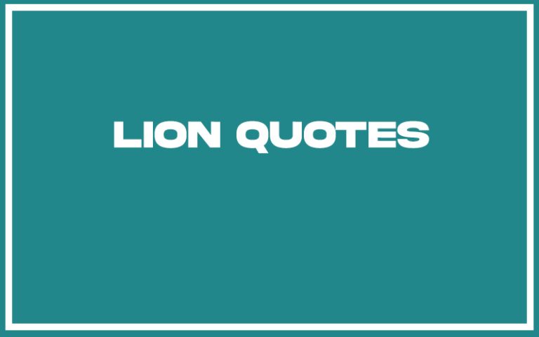 151 Best Lion Quotes (with Commentary) - Burning For Success