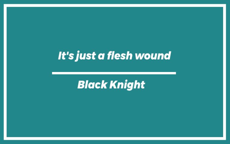 151 Best Monty Python and The Holy Grail Quotes (with Commentary ...