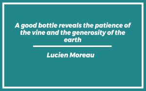 151 Best Wine Quotes (with Commentary) - Burning For Success