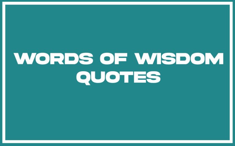 151 Best Words of Wisdom Quotes (with Commentary) - Burning For Success