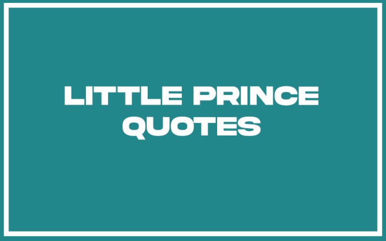 151 Best Little Prince Quotes (with Commentary) - Burning For Success