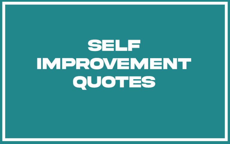 151 Best Self Improvement Quotes (with Commentary) - Burning For Success
