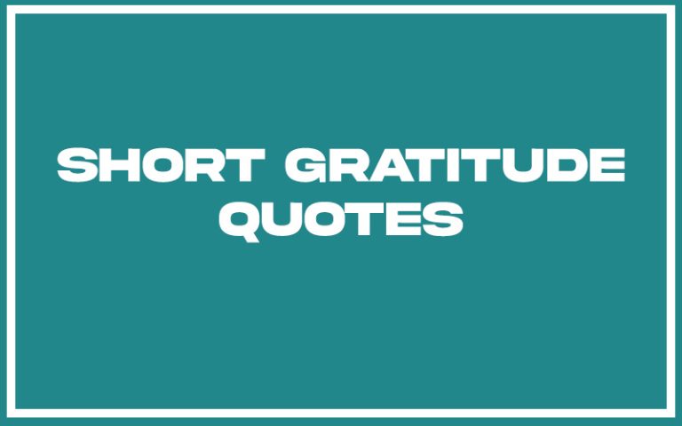 151 Best Short Gratitude Quotes (with Commentary) - Burning For Success