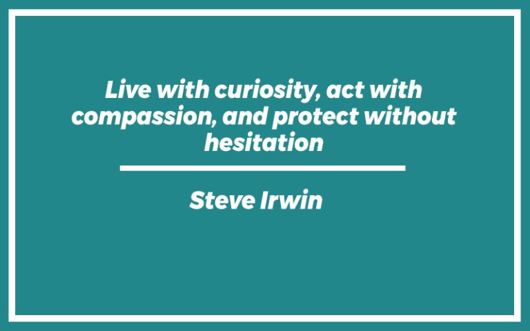 151 Best Steve Irwin Quotes (with Commentary) - Burning For Success