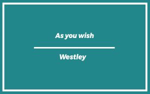 151 Best The Princess Bride Quotes (with Commentary) - Burning For Success